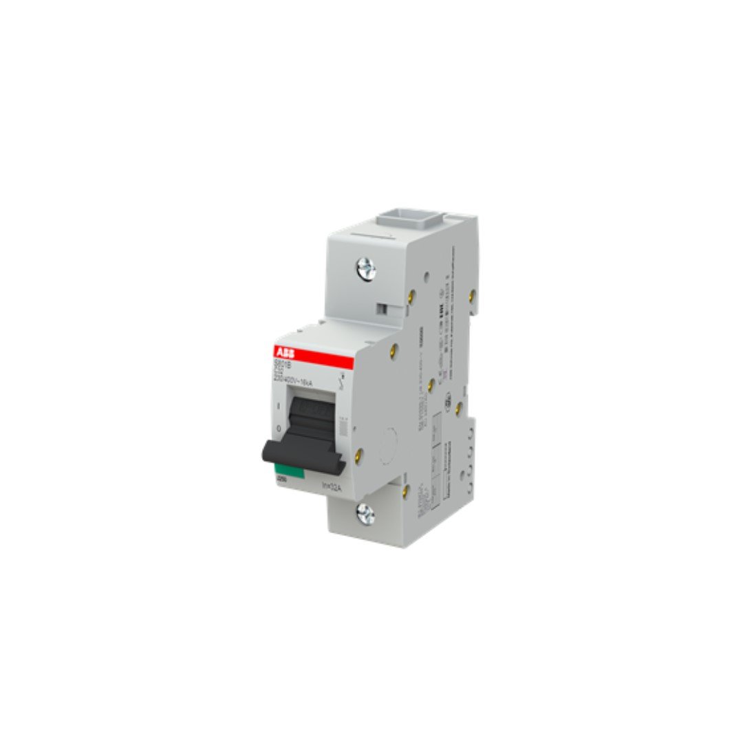 Buy S204-C100 ABB 2CDS254001R0824 Miniature Circuit Breaker - 4P - C ...